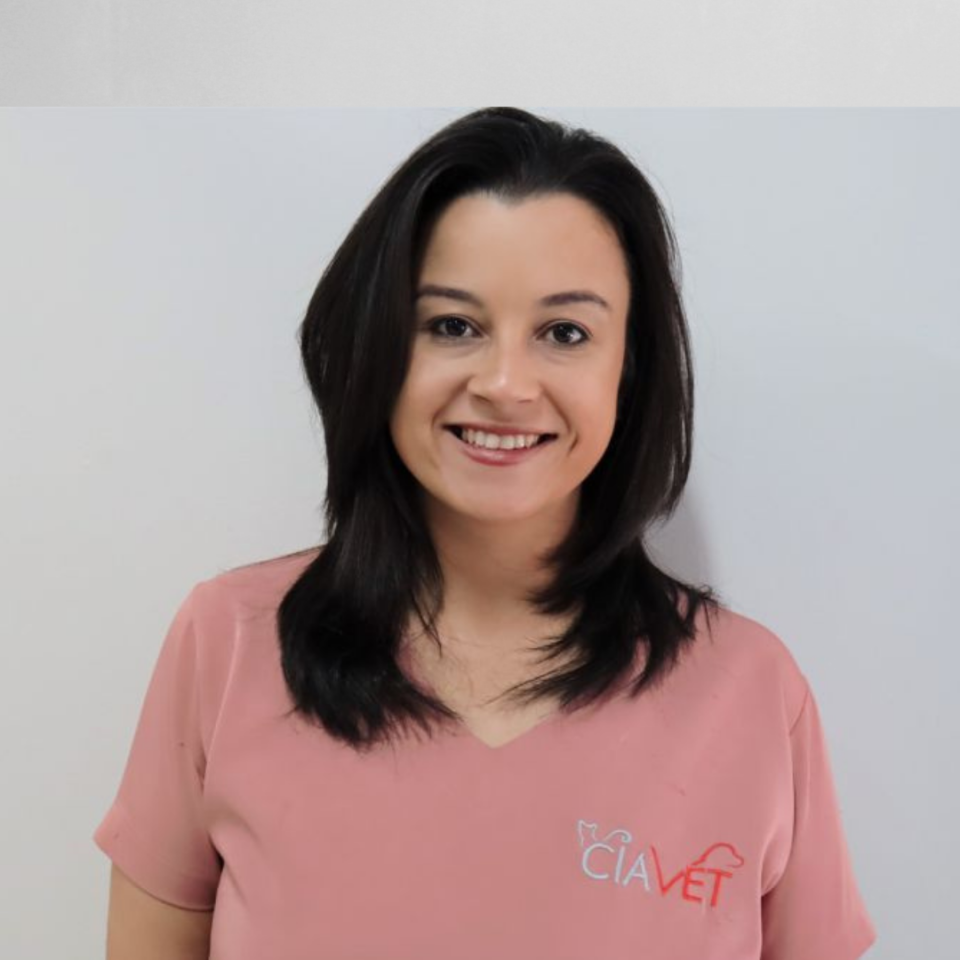 Clínica Veterinária 24h em Chapecó - Atendimento Presencial 24h por dia ...